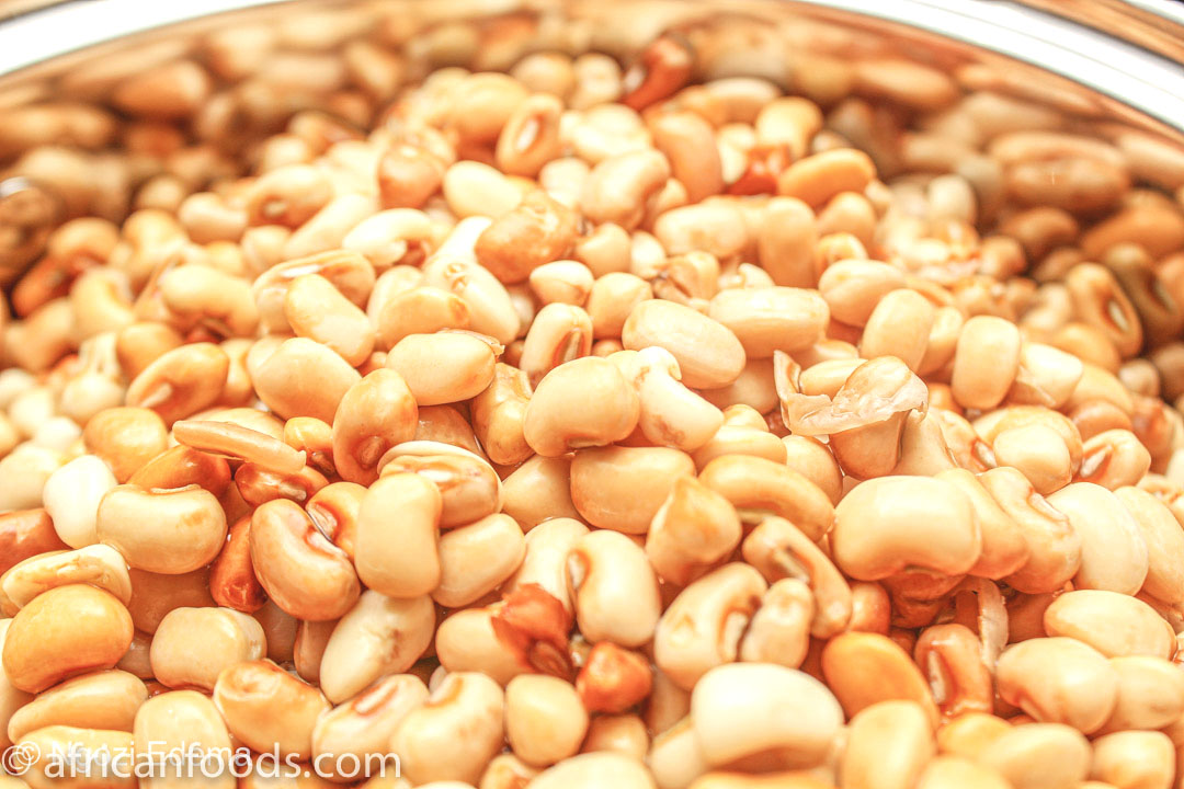 Beans |Beans Are Protein Rich Legumes Rich In Fibre And Antioxidants.